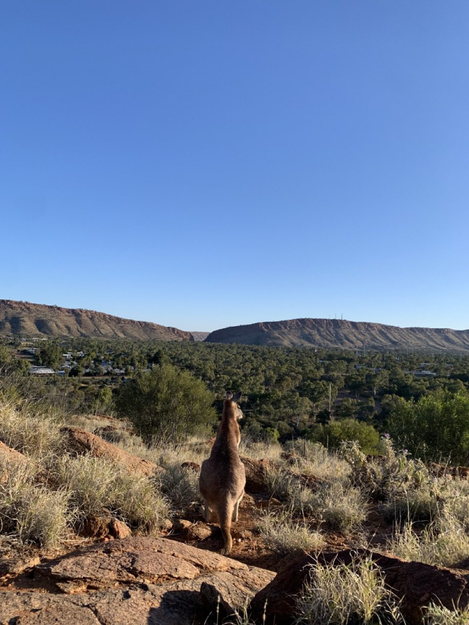 Wat te doen in Alice Springs: De beste tips in de stad - DutchGirlsTravel
