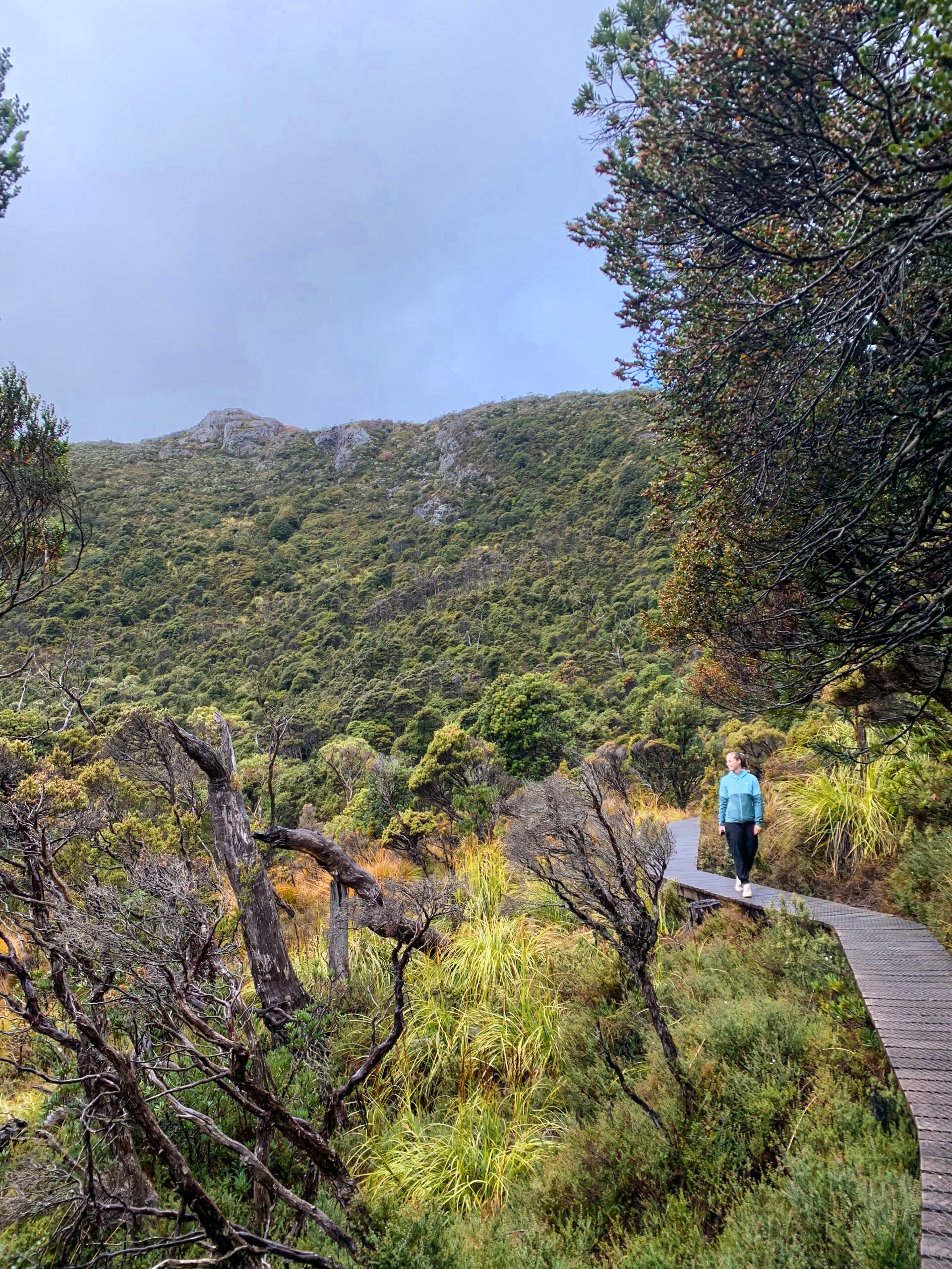 Cradle Mountain bezoeken: Tips en praktische informatie - DutchGirlsTravel